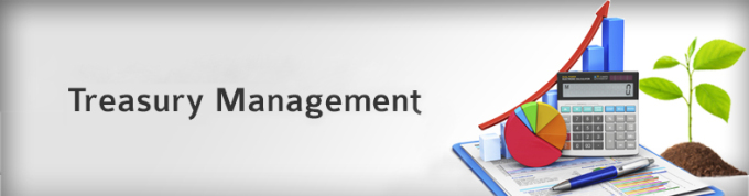 Treasury Management | Plan Ahead